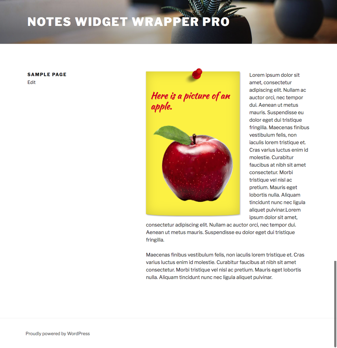 Notes Widget Wrapper PRO – Web Rockstar