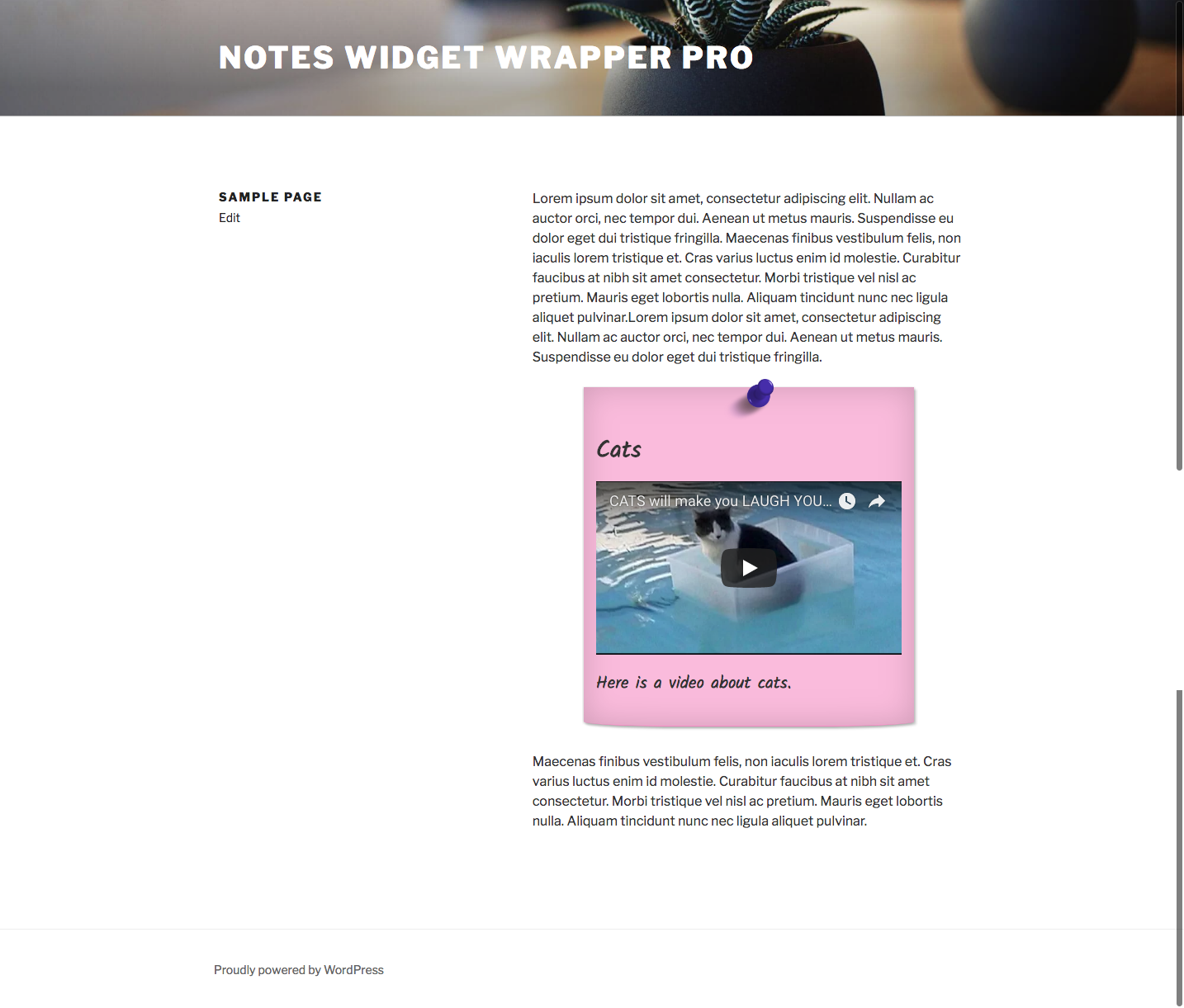 Notes Widget Wrapper PRO – Web Rockstar